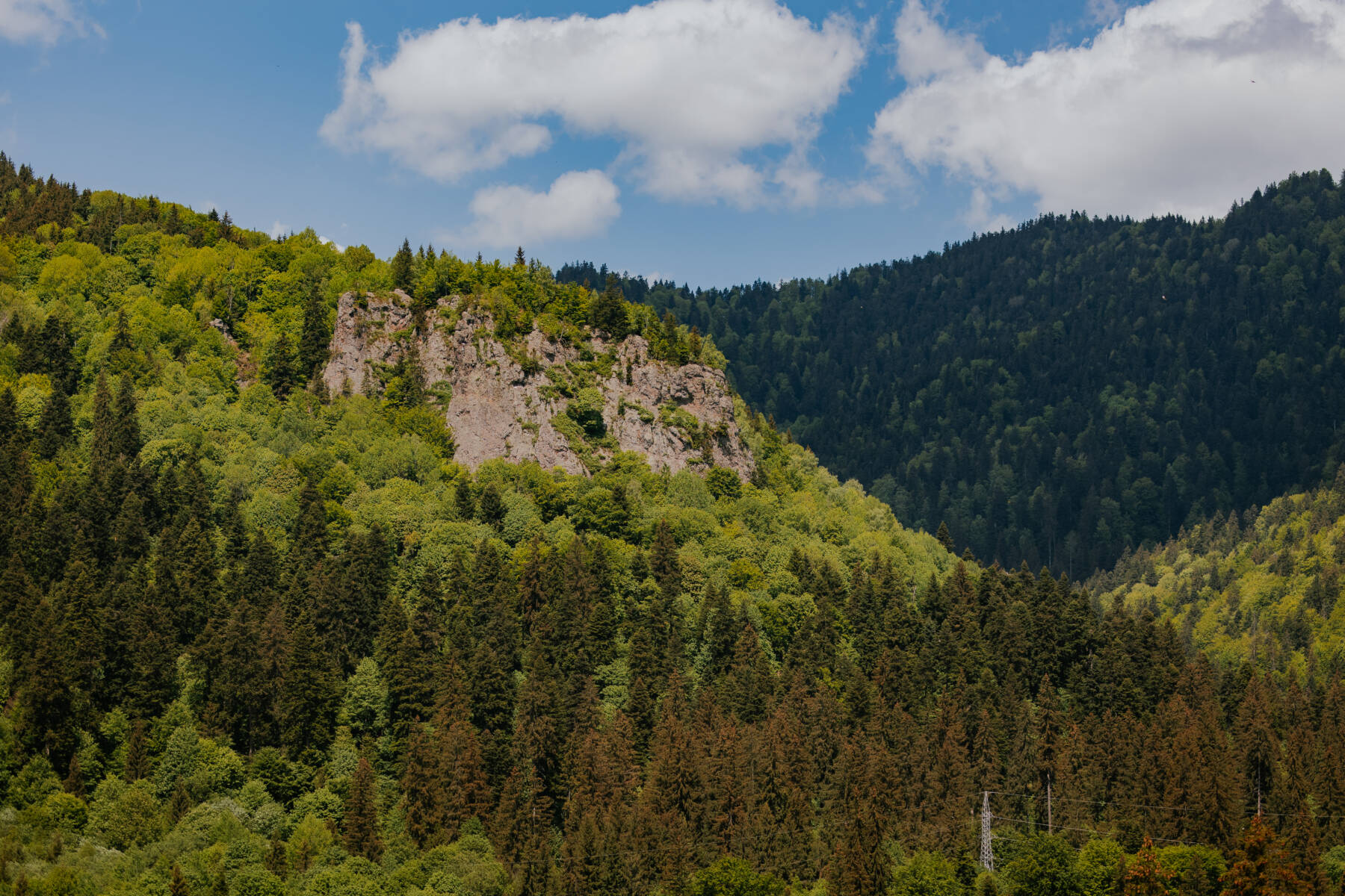 Natural Renewal with the Power of the Mountains, in the Heart of Băile ...